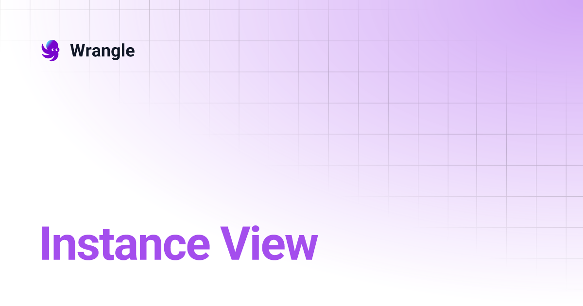 Instance View | Wrangle